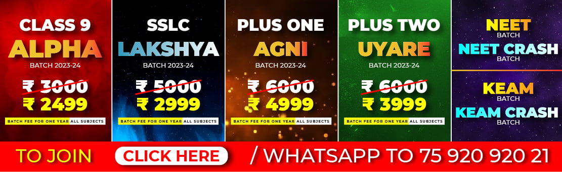 Home Default - Exam Winner