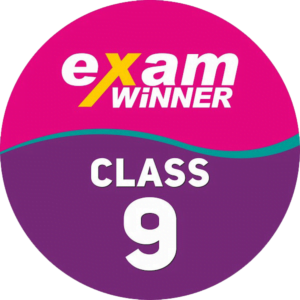 Updates - Exam Winner