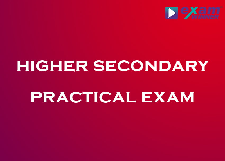 HSE Practical Exam 2023-24 - Exam Winner