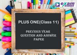 Plus One(Class 11 / First Year) Annual Exam(Board Exam) Question Papers ...